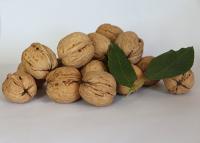China Northern Carya Walnut in Shell - 2.5kg to 10kg Packaging, Natural Sun-Dried, Organic Farming for sale