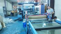 China PET Sheet Extrusion Co Extruder Machine /BA Structure with 500kg Per Hour Output for sale