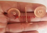 China 20 Mm Copper Dics Roofing Rivets Fix Fibre Cement Slates for sale