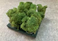 China Nature Moss 3d Acoustic Wall Panels For Walls Green Plant Decoration Mildew Proof for sale