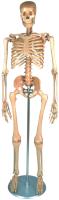 China Human Body Artist Wooden Manikin Artist Mannequin Figure Natural Colour for sale