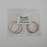 China A93189280 Seal for Function of CompAir Screw Air Compressor Spare Parts for sale