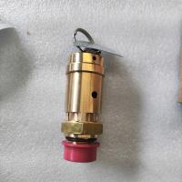 China 35325133 Safety Valve Replacement for Ingersoll-Rand Compressor Repair and Maintenance for sale