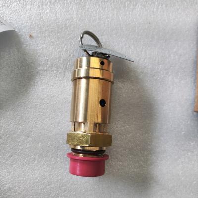 China 35325133 Safety Valve Replacement for Ingersoll-Rand Compressor Repair and Maintenance for sale
