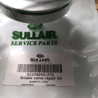 China 02250053-273 Repair Kit The Ultimate Solution for Sullair Air Compressor Upgrade for sale