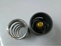 China 100010137 Temperature Control Valve for sale