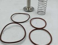 China 2901186400 TD Oil Free Machine Check Valve Maintenance Kit for sale