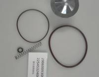 China 2906009300 One Way Valve Repair Kit for sale
