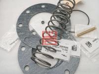China 308EAY6013 ZP 100015593 Minimum Pressure Valve Repair Kit for sale
