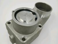 China 100011257 OEM Intake Valve for sale