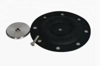 China Hot Sale Diaphragm Repair Kit 250020-353 Apply to Sullair Air Compressor for sale
