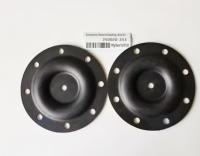 China Hot Sale Diaphragm Repair Kit 250020-353 Apply to Sullair Air Compressor for sale