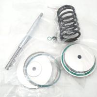 China 100001110 TD Qiansi-L75 Intake Valve Repair Kit CompAir Air Compressor Parts for sale