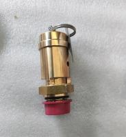 China High Quality 22057954 ZP Safety Valve Industrial Air Compressor Parts Wholesale for sale