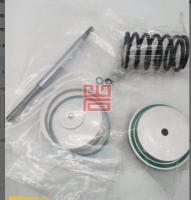 China 100001110   Industrial Compressor Parts Air Compressor Inlet Valve Maintenance Kit for sale