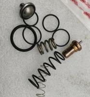 China 49144587001 Temperature Control Valve Maintenance Package High Quality Hot Selling Manufacturer Ingersoll Rand Machine General for sale