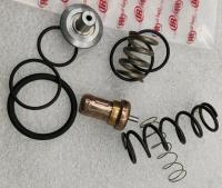 China 49144587001 Temperature Control Valve Maintenance Package High Quality Hot Selling Manufacturer Ingersoll Rand Machine General for sale