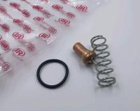 China 22393326 TD Temperature Control Valve Assembly Available for Ingersoll Rand Machines for sale