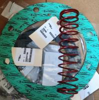 China 201SSU6003 ZP Grander Denver Machine Available 40 Cubic Inlet Valve Repair Kit for sale