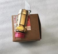 China Safety Valve 23443914 OEM Ingersoll Rand Can Use High Quality Hot Selling Low-cost Accessories for sale
