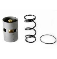 China 2901161800 TD Atlas  Metal Temperature Control Valve Industrial Compressor Part for Air & Oil Filters Air Compressor Part for sale