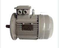 China 1092091622 TD Fan Motor High-quality and Powerful Manufacturer Atlas air Compressor Adaptation for sale