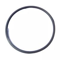 China Ingersoll-Rand O Ring 95023420  High  Quality Screw Air  Compressor Parts Wholesale for sale