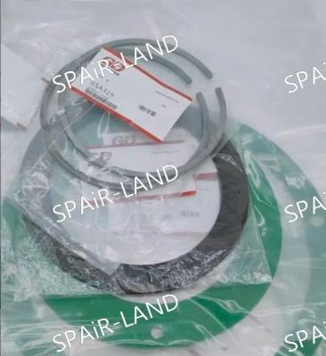 China Intake Valve Maintenance Kit 201SSU6013 Gardner Denver Can Use High Quality Hot Selling Low-cost Accessories for sale
