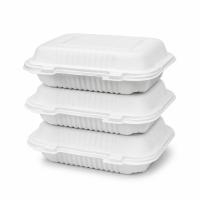 China SC-96 White PP Clamshell Takeout Containers for Restaurant Meal Packaging for sale