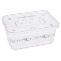 China 1000ml PP Food Containers Deep Square Catering Box Lidded for Large Meals for sale
