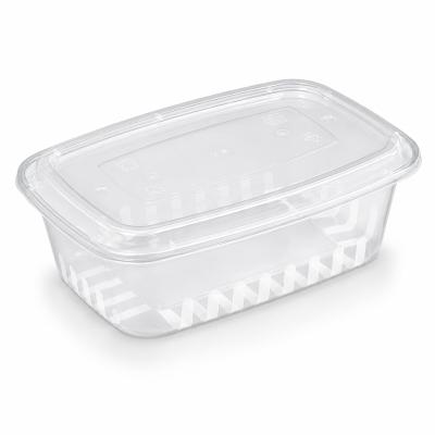 China 1500ml PP Square Food Trays Deep Rectangular Lidded for Catering for sale