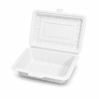 China White Clamshell PP Lunch Box One Piece Hinged for Daily Takeaway for sale