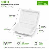 China White Clamshell PP Lunch Box One Piece Hinged for Daily Takeaway for sale