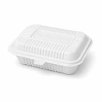 China LB-95 Wide Rectangular PP Clamshell Takeout Container for Snacks / Fast Food for sale