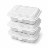 China LB-95 Wide Rectangular PP Clamshell Takeout Container for Snacks / Fast Food for sale