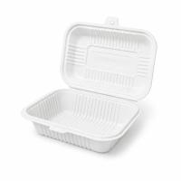 China LB-95 Wide Rectangular PP Clamshell Takeout Container for Snacks / Fast Food for sale