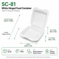China SC-81 Large Square PP Clamshell Takeout Containers for Full Meal Packaging for sale