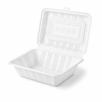 China Medium Single Compartment PP Clamshell Takeout Containers White for Individual Meals Snacks for sale