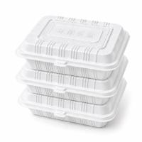 China Deep Rectangular PP Clamshell Takeout Containers 600ml for Full Meals Delivery for sale