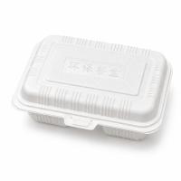China 2 Compartment Takeout PP Plastic Clamshell Box 500ml for Main Dishes / Side Portions for sale