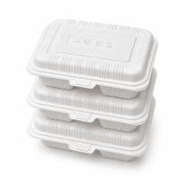 China 2 Compartment Takeout PP Plastic Clamshell Box 500ml for Main Dishes / Side Portions for sale