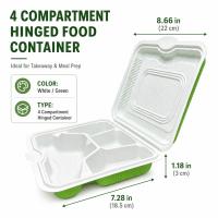 China Four Compartment PP Clamshell Takeout Containers Green White for Complete Meal Sets for sale