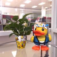 China B.Duck Piggy Promotional Coin Bank Colorful 11.5×11.5×16cm Size for sale