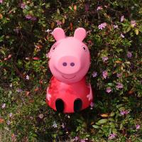 China PVC Animal Pig Coin Bank , 6.2 inch ×4 inch Plastic Piggy Bank for Saving Money for sale