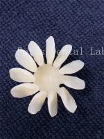 China High Strength Stain Resistant Dental Porcelain Veneers 0.3-0.5mm for Cosmetic Dentistry for sale