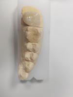 China Dental Ceramic Inlay and Porcelain Onlay for Indirect Tooth Restoration 2mm for sale