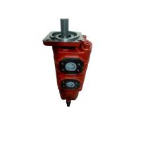 China JUYULONG  Hydraulic Gear Pump for CBG JHP CBGJ Series Double Pump Slag Scraper Drill Rig Pile Driver Zoomlion for sale