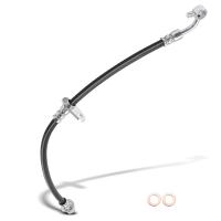 China Front Driver Brake Hydraulic Hose for Honda Accord 2015-2017 2.4L for sale