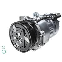 China AC Compressor with Clutch & Pulley for Audi A3 TT Volkswagen Beetle Golf Jetta for sale
