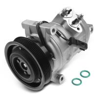 China AC Compressor with Clutch & Pulley for Chrysler 300 2005-2006 Dodge Magnum 3.5L for sale